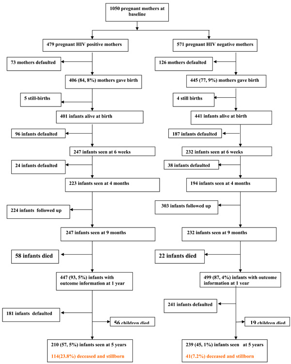 Realities and Challenges of a Five Year Follow Up of Mother and Child ...