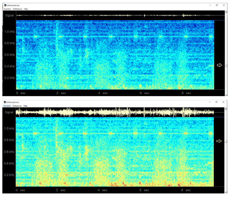 Spectrographic Analysis at Ben Waterbury blog