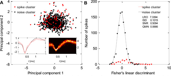 Quality Metrics of Spike Sorting Using Neighborhood Components Analysis