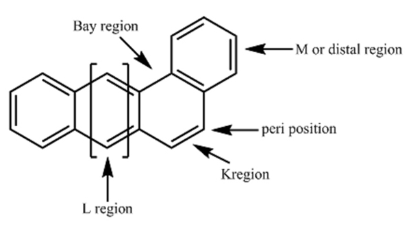 Bioremediation of Polycyclic Aromatic Hydrocarbon (PAHs): A Perspective