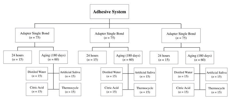 Aging Protocols and Their Effects on Bond Strength of Total-Etch and ...