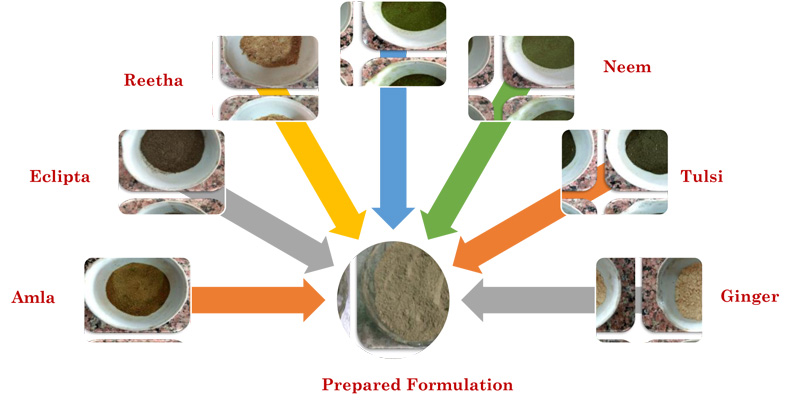 preparation of shampoo pdf