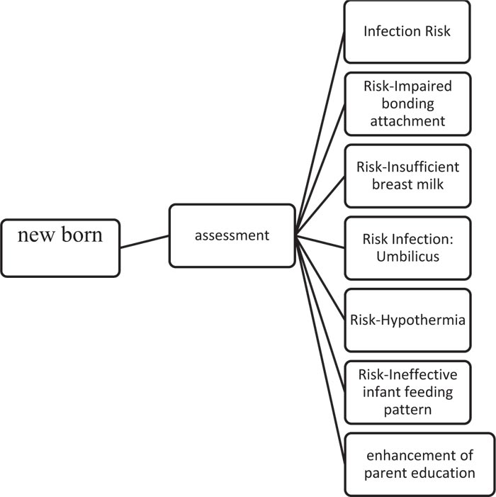 Description and Validation of Nursing Diagnosis Using Electronic ...