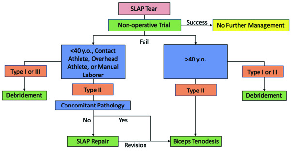 An Age and Activity Algorithm for Treatment of Type II SLAP Tears