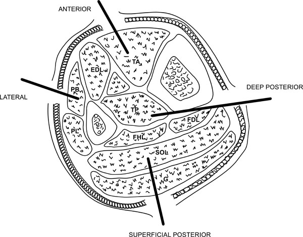 The Pathophysiology, Diagnosis and Current Management of Acute ...