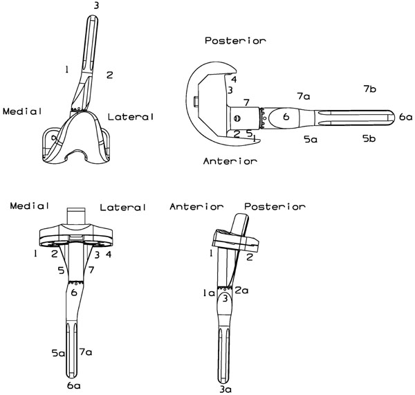 Ten-Year Results of Primary and Revision Condylar-Constrained Total ...